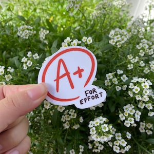 A+ for Effort Sticker | Funny Sticker | Gifts Under 10 | Water ...