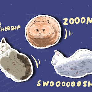 Hover Cat Meme | Funny Cute Sticker | Cat Kitten Decal | Water Bottle ...