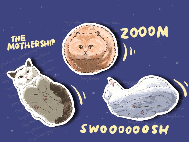 Hover Cat Meme Funny Cute Sticker Cat Kitten Decal Water - Etsy