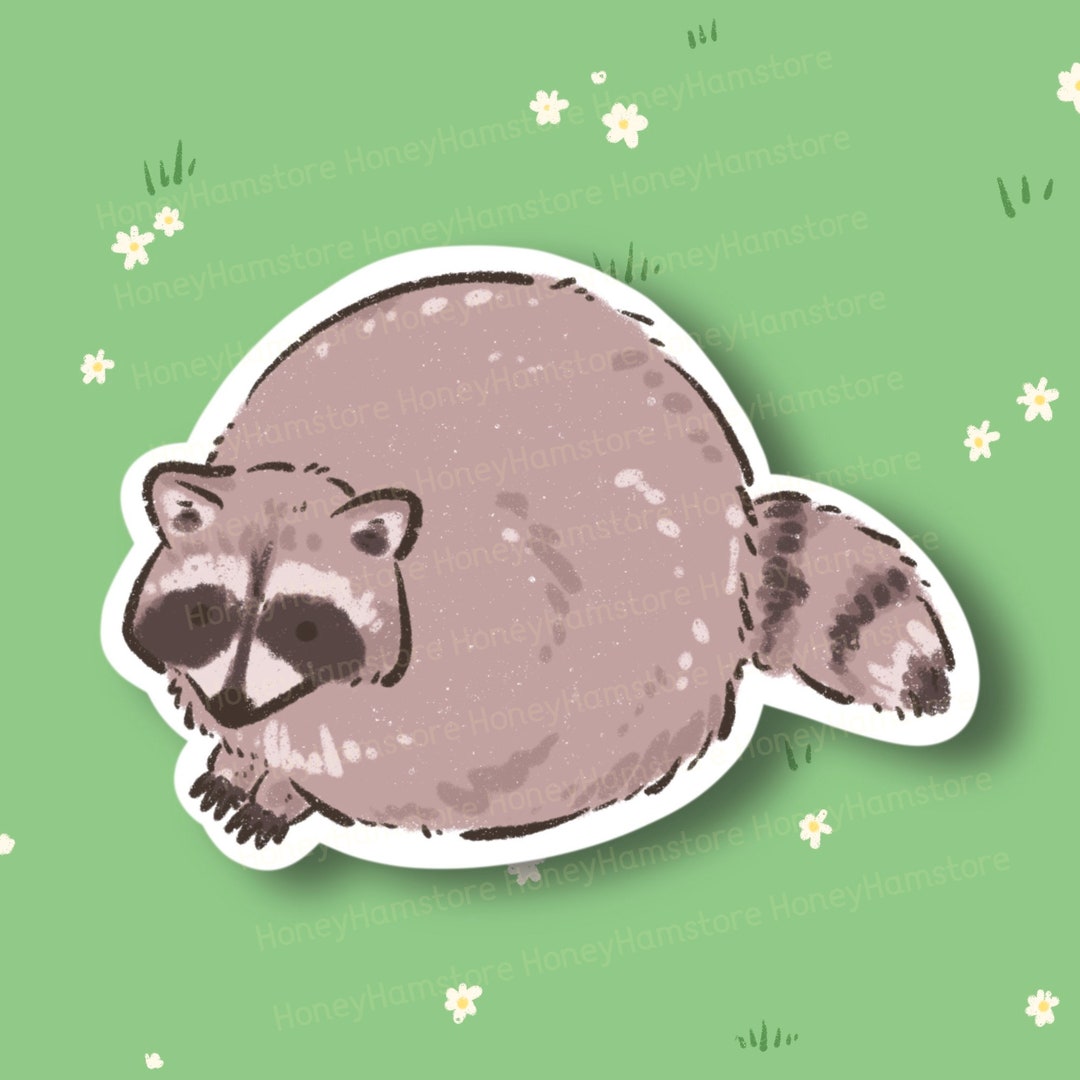 Cute Round Raccoon Sticker | Funny Sticker | Gifts Under 10 | Water ...