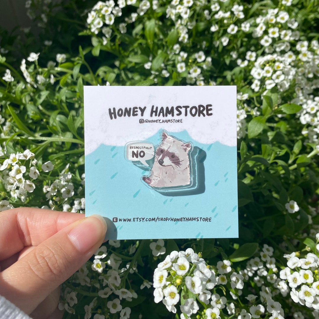 Raccoon Respectfully No | Funny Acrylic Pin | Kawaii Cute Raccoon Pin ...