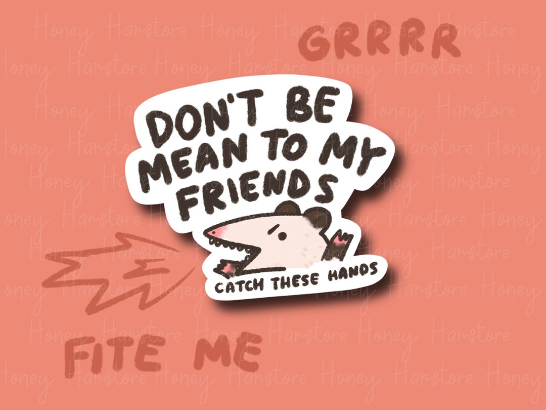 Don't Be Mean to My Friends | Funny Possum | Gifts Under 10 | Water ...