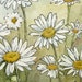 Daisies: Art Print - Etsy