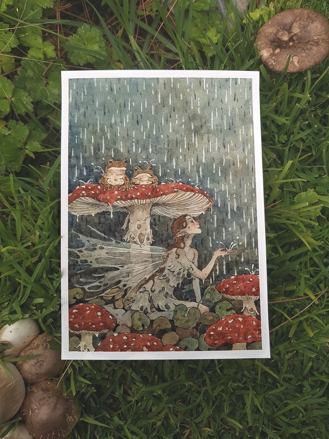 Toadstools: Original Watercolour Painting - Etsy