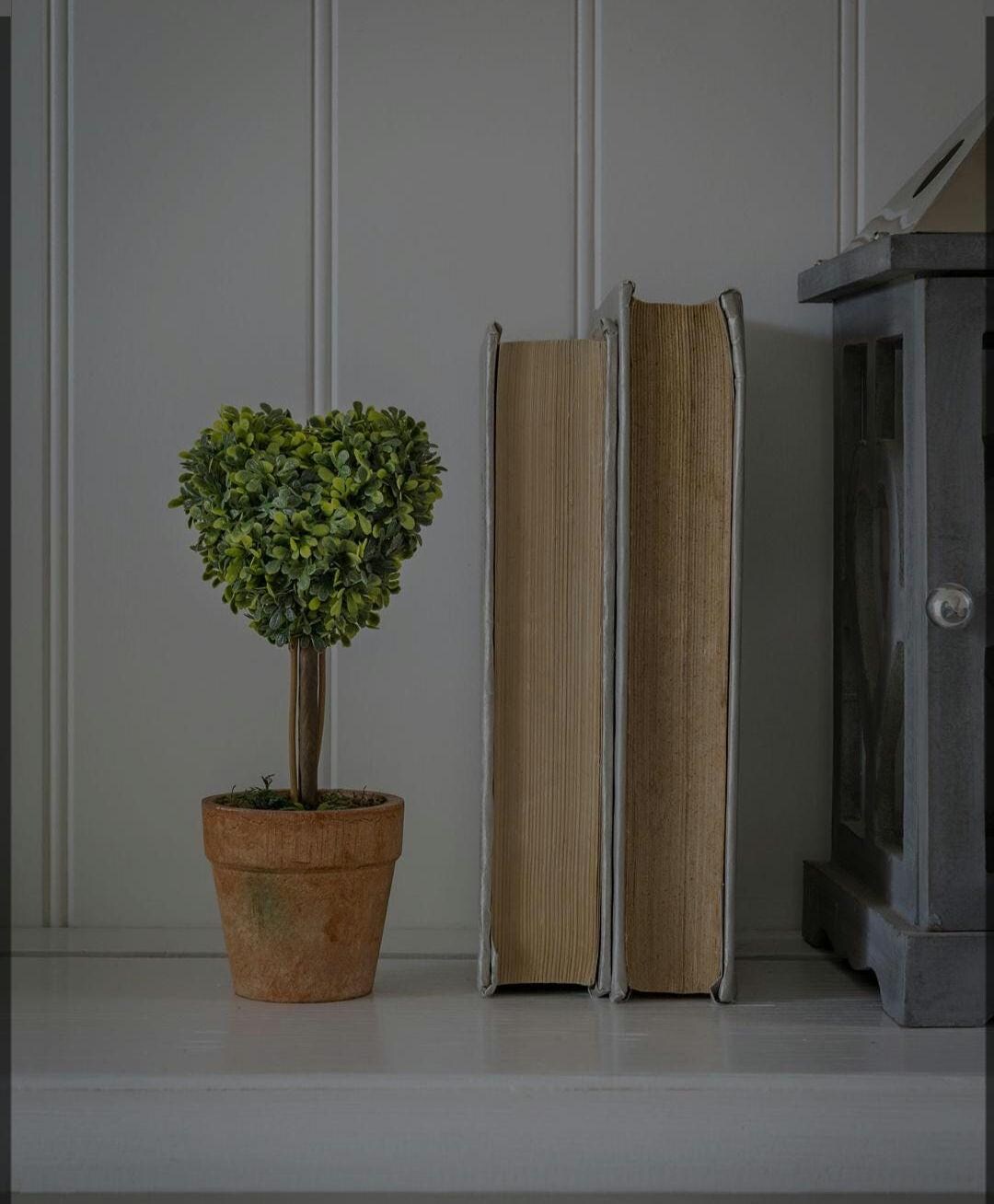 Heart Topiary Tree in Terracotta Pot - Etsy
