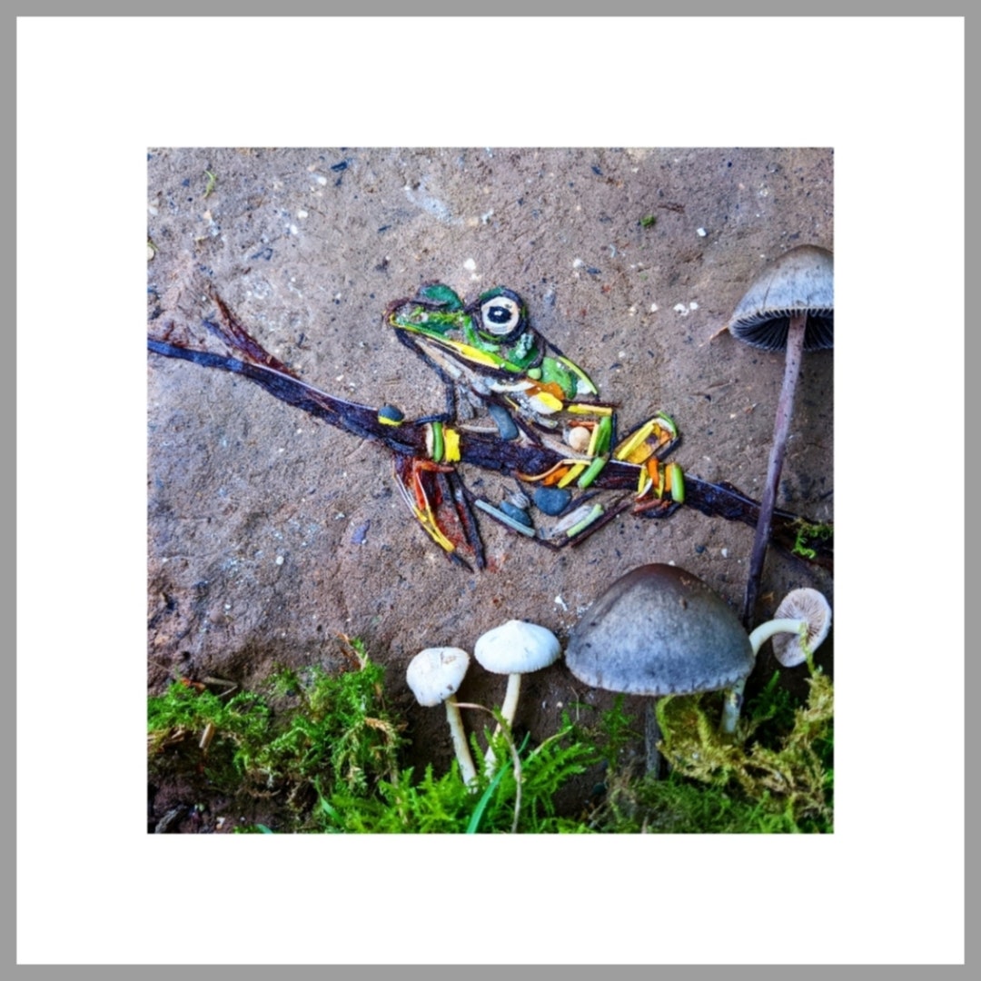 MOUNTED & Signed 'stargazing Tree Frog' Print. Original Artwork by ...