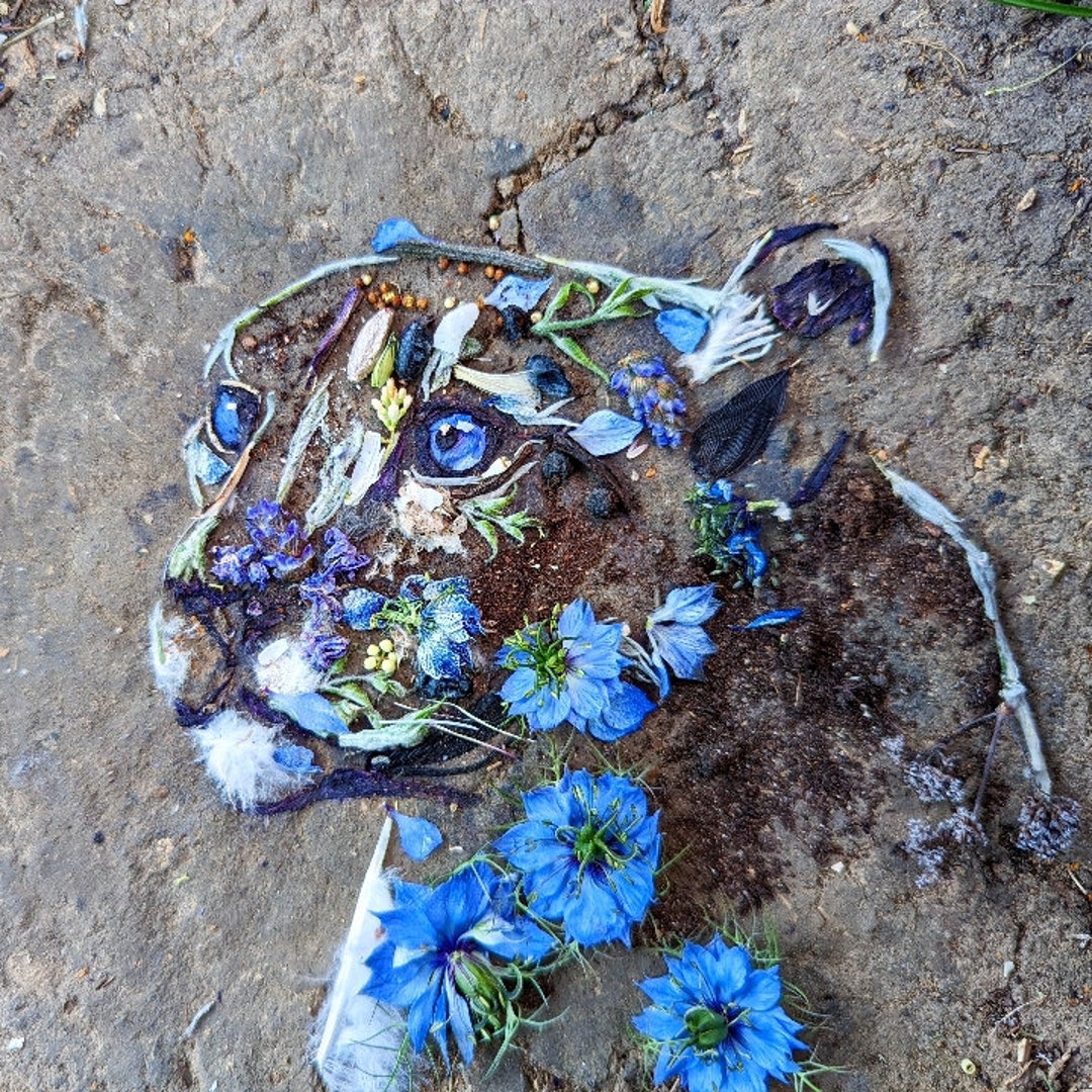 UNMOUNTED 'mysty the Snow Leopard' Print. Original Artwork by Hannah ...