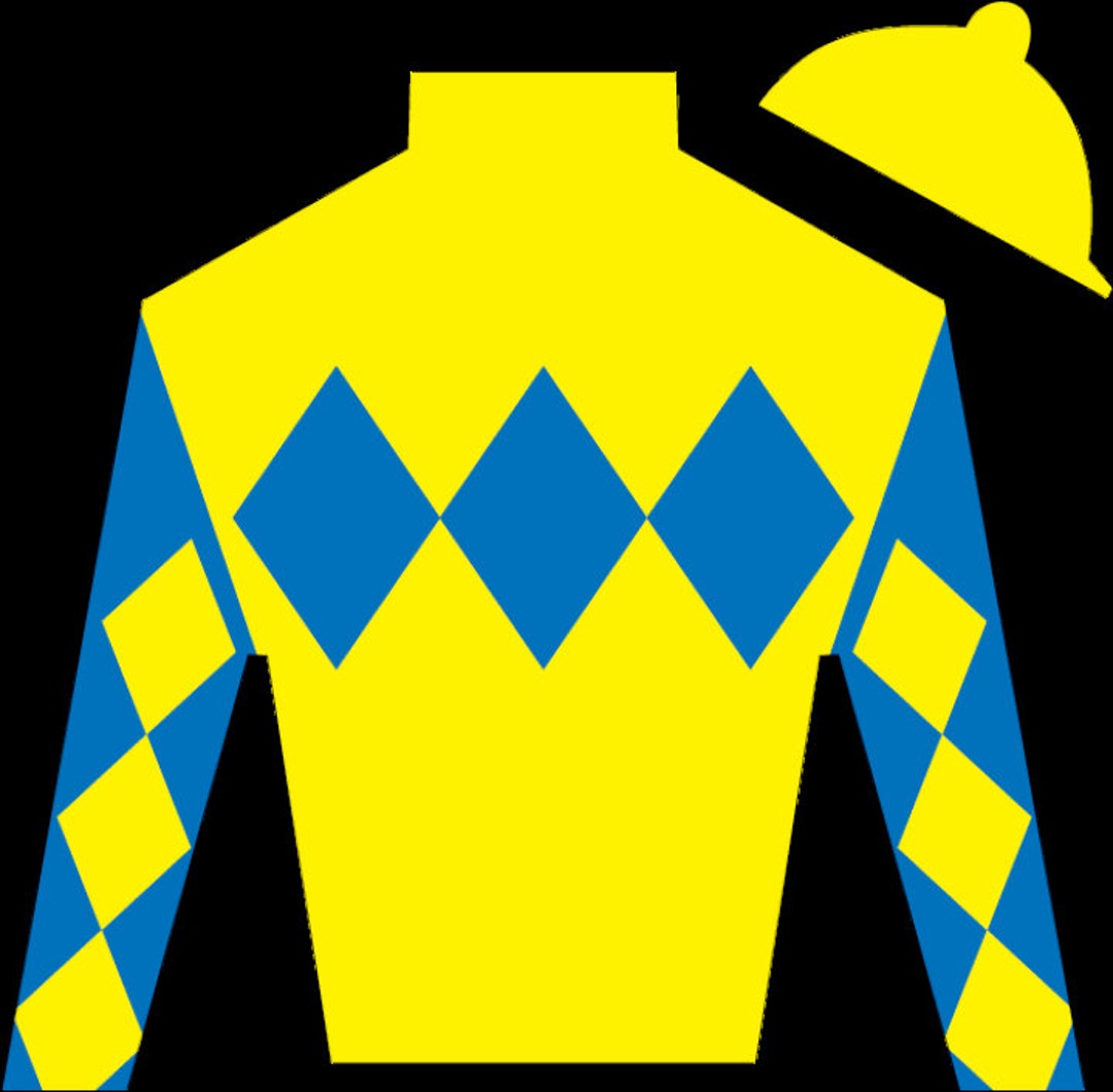 Diamond Jockey Silks - Etsy