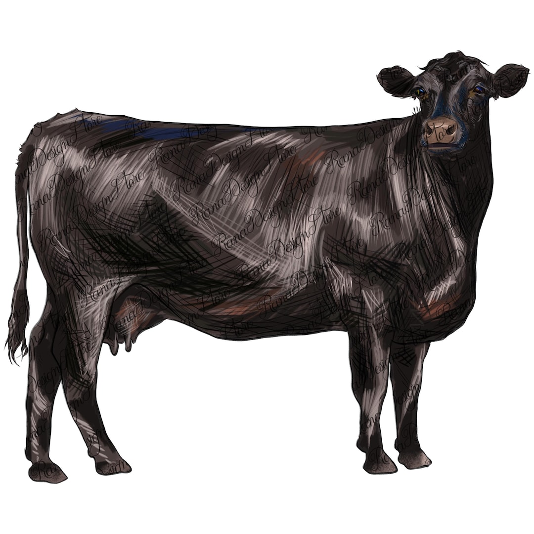 Black Angus Cow Png Sublimate Designs Download, Western Cow Png ...