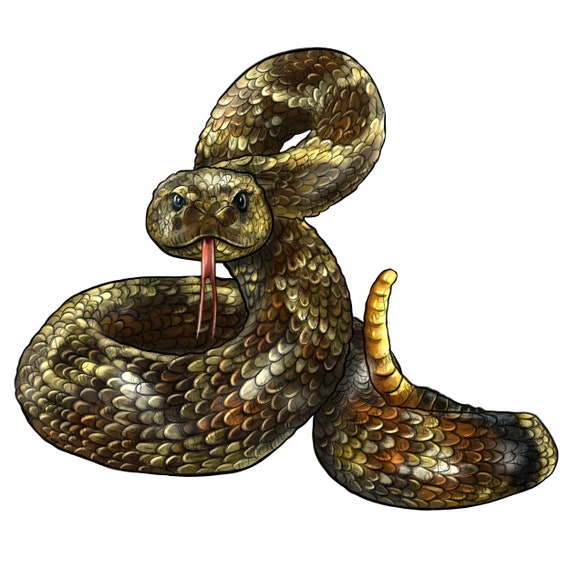Ratelslang Clipart Ratelslang Slang Tribaal Gratis Vectorafbeelding
