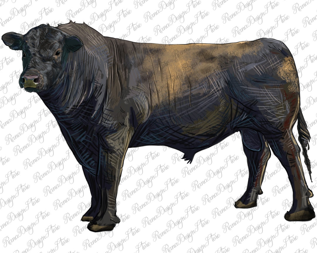 Black Angus Bull Png Sublimation Design, Black Angus, Black Angus Png ...