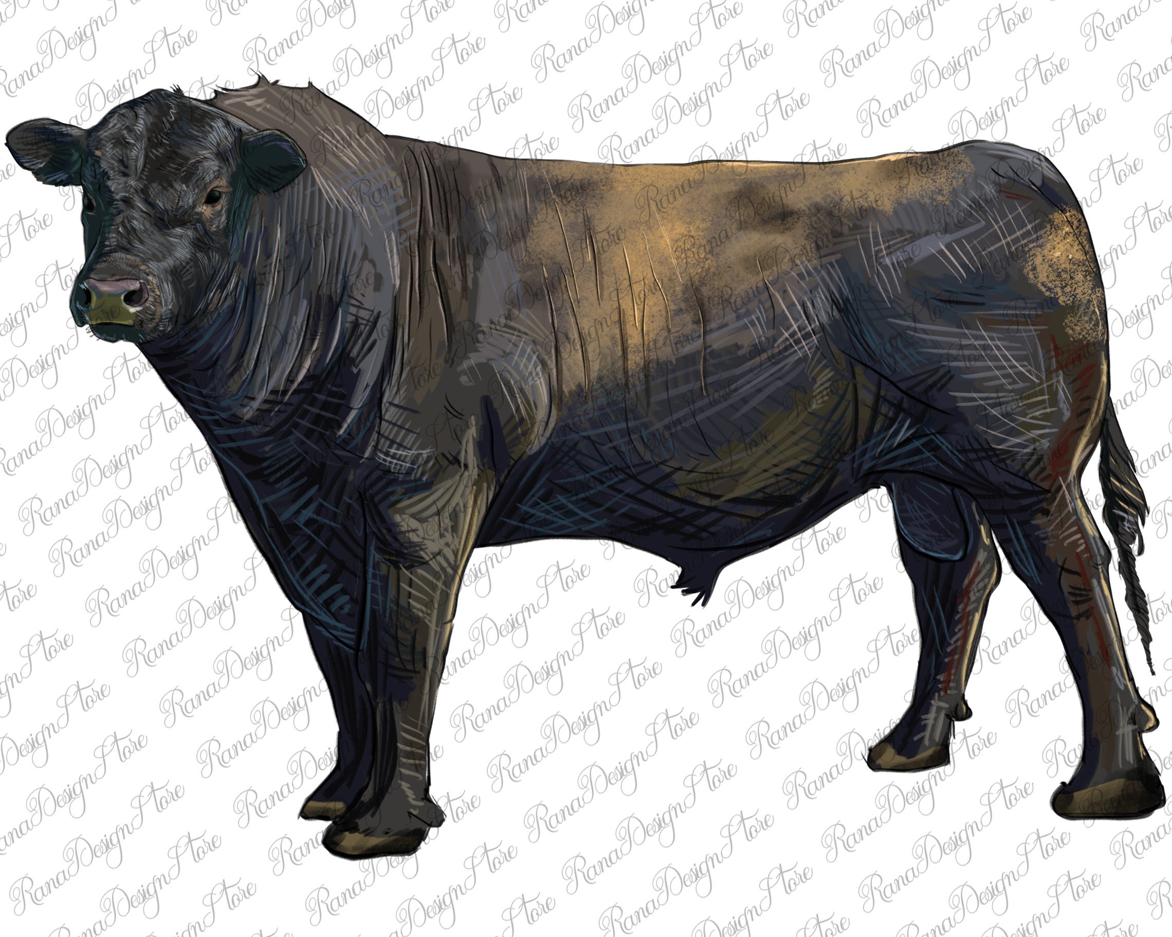 Black Angus Bull Png Sublimation Design Black Angus Black - Etsy Canada