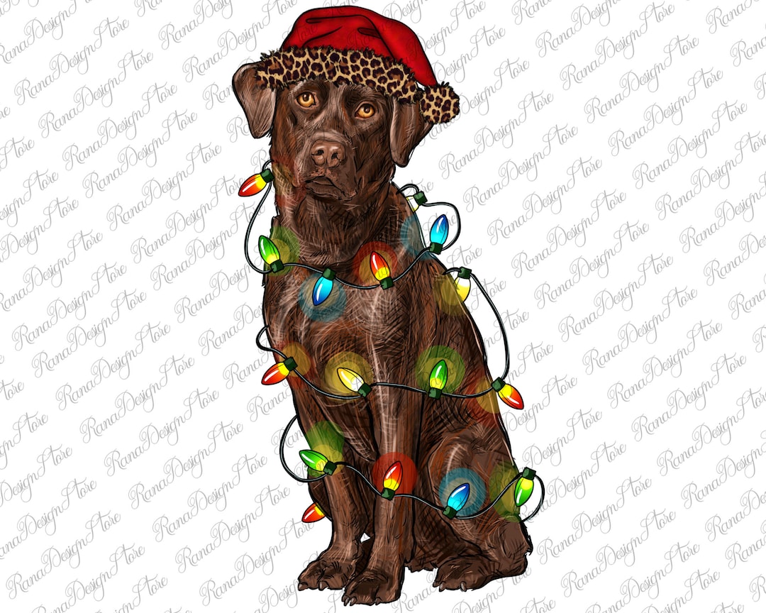Christmas Labrador Retriever Png, Labrador Retriever Christmas Lights ...