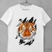 Tiger Face Scratch Png Sublimation Design,tiger Png, Tiger Face Png ...