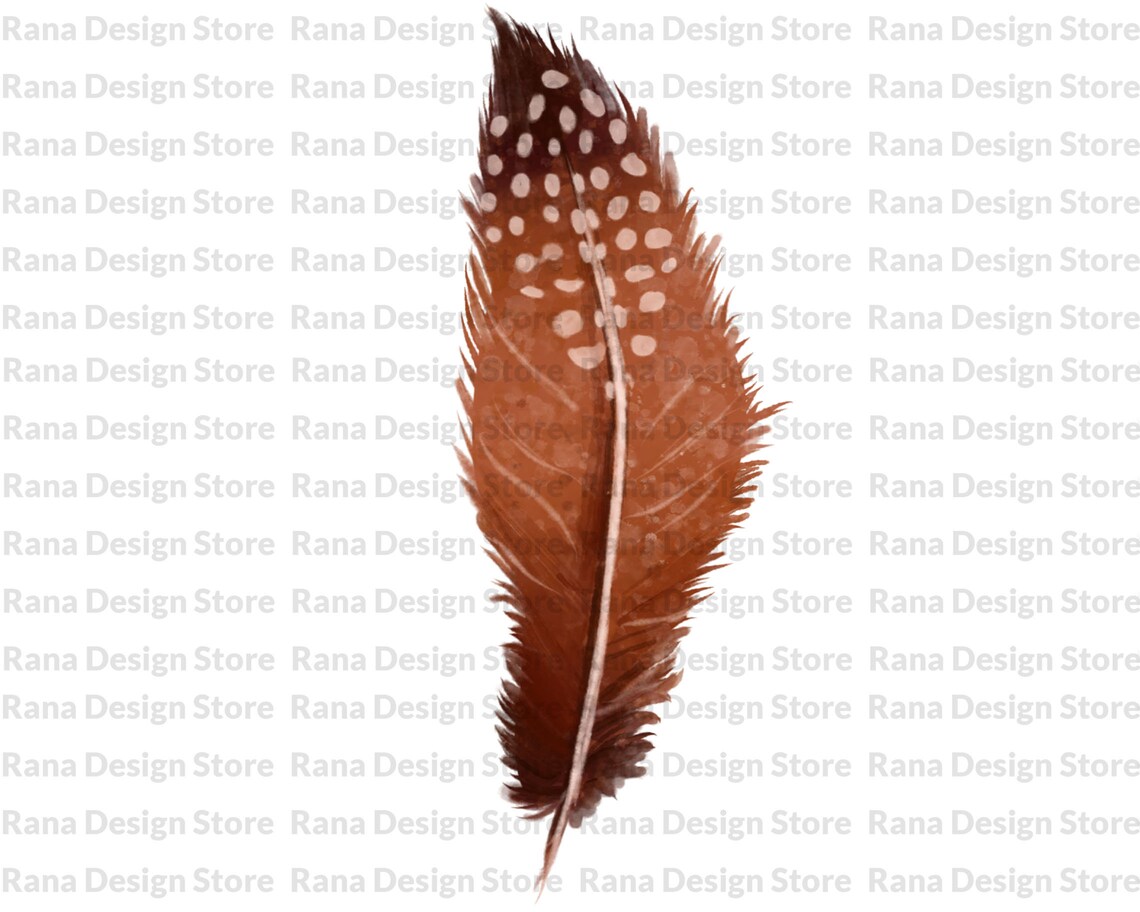 Western Feder Bundle, Feder Clipart, Digital Download, Png Sublimation ...