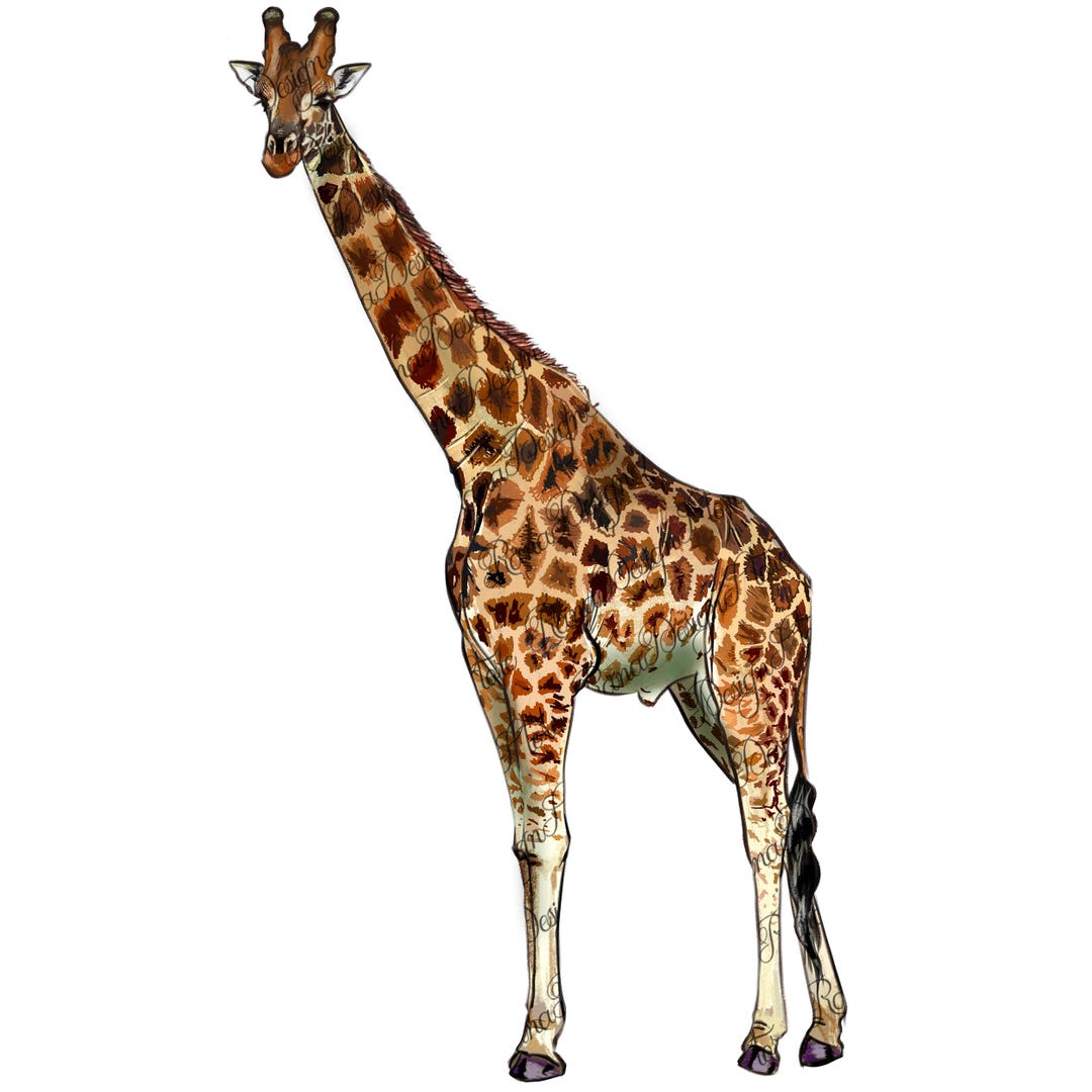 Giraffe Png Sublimation Design, Hand Drawn Giraffe Png, Giraffe Clipart ...