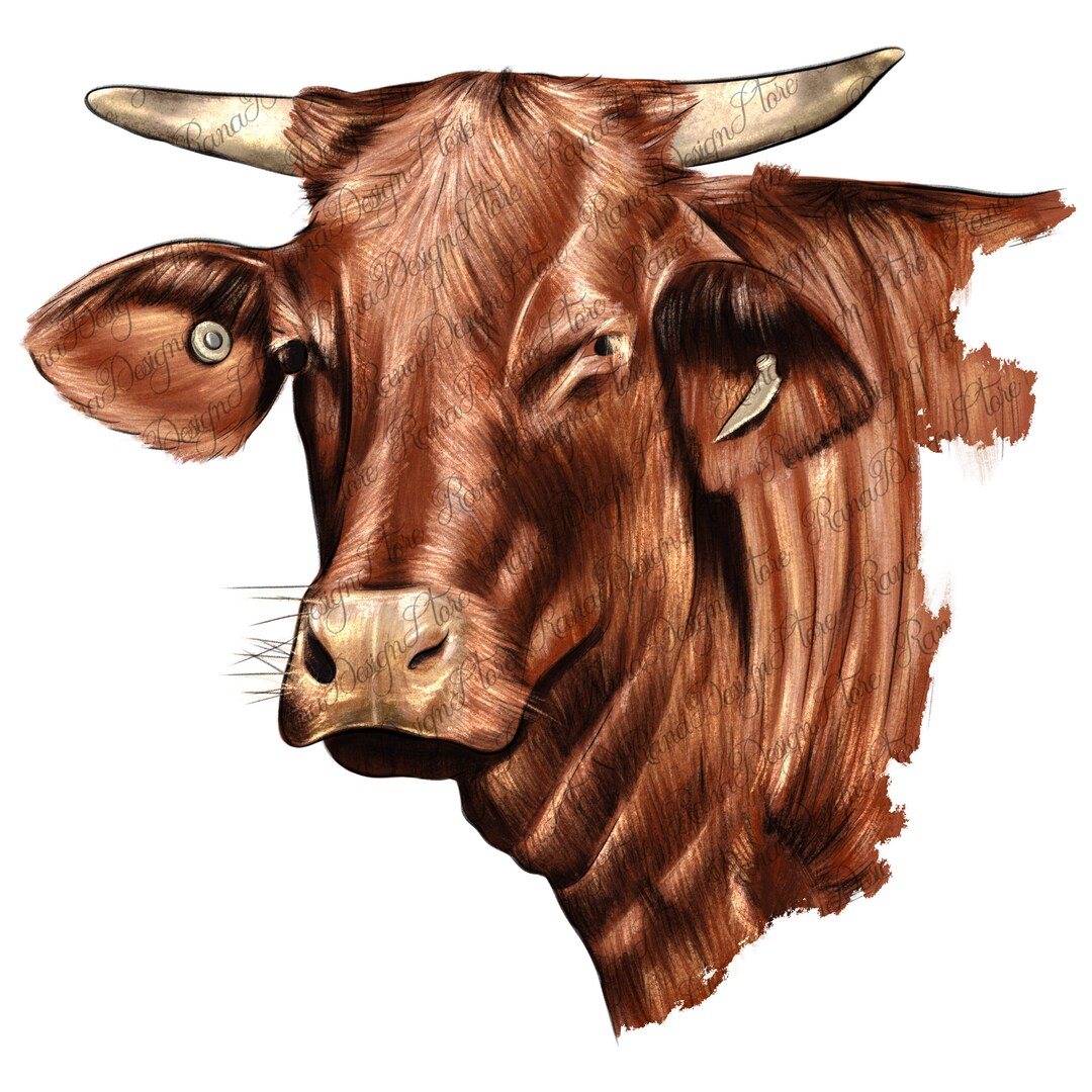 Santa Gertrudis Png Sublimation Design Download, Cattle Png, Cattle ...