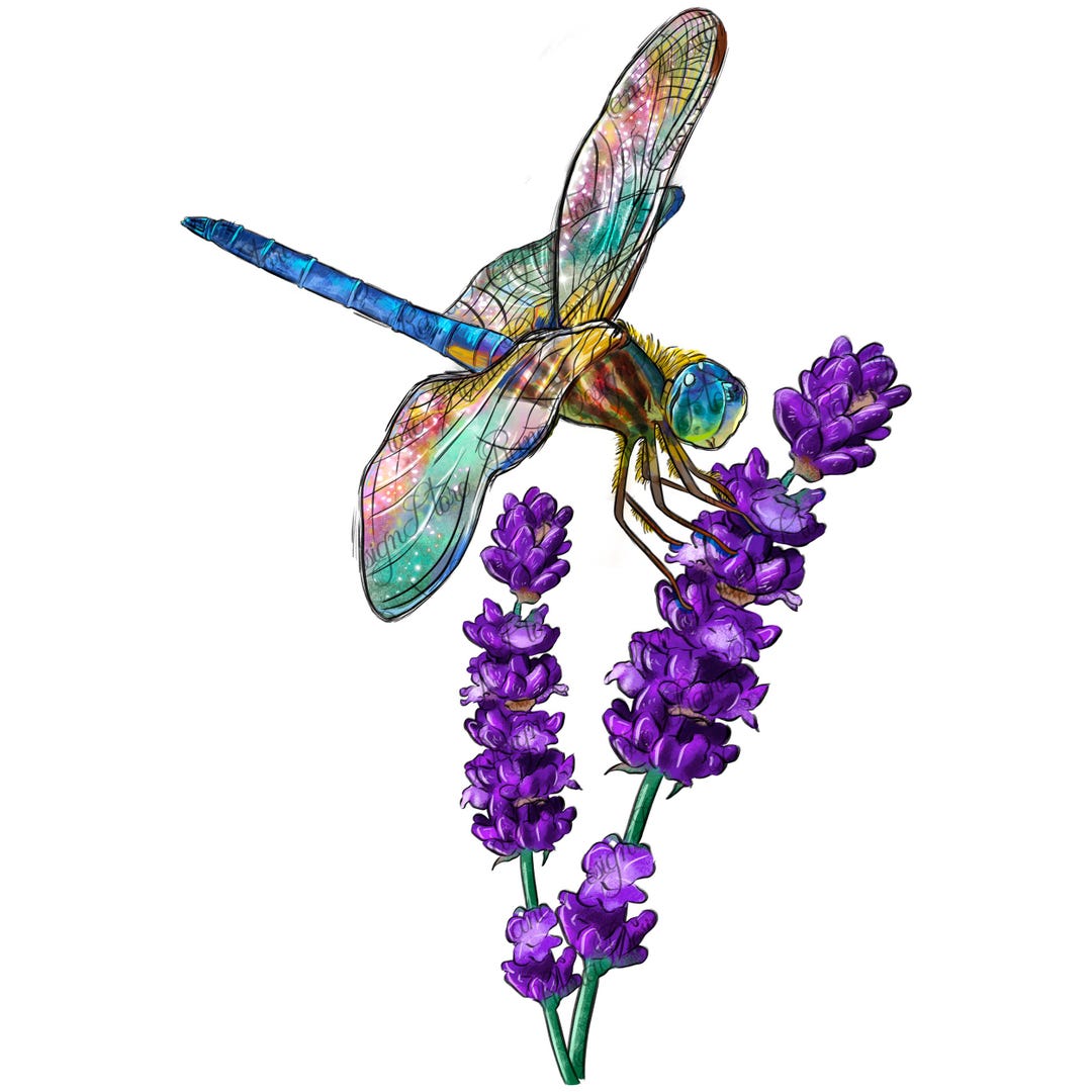 Dragonfly With Lavender Png Sublimation Design Download, Dragonfly Png ...