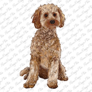 Cockapoo Portrait Png Sublimation Design, Western Cockapoo Png ...