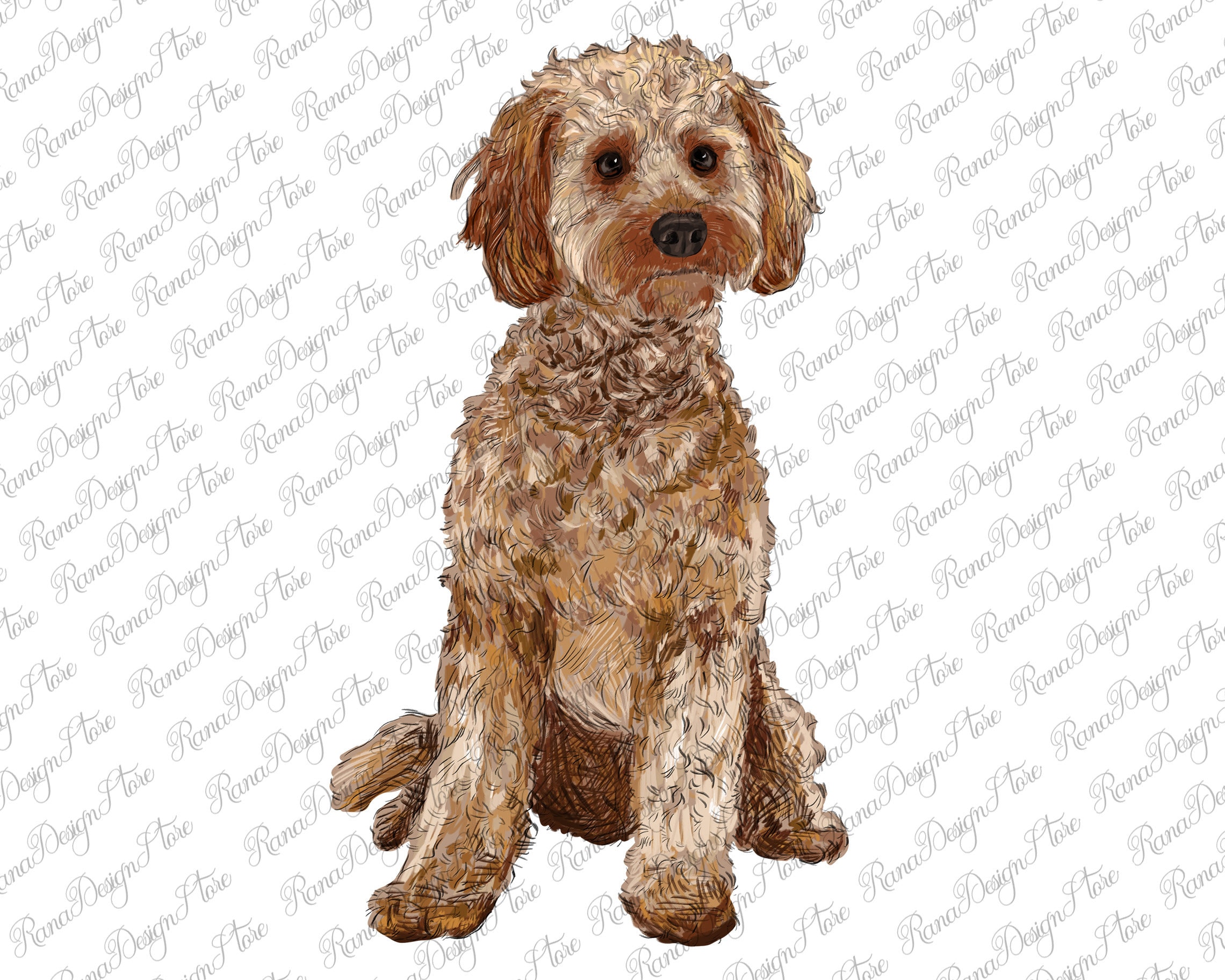 Cockapoo Portrait Png Sublimation Design Western Cockapoo - Etsy