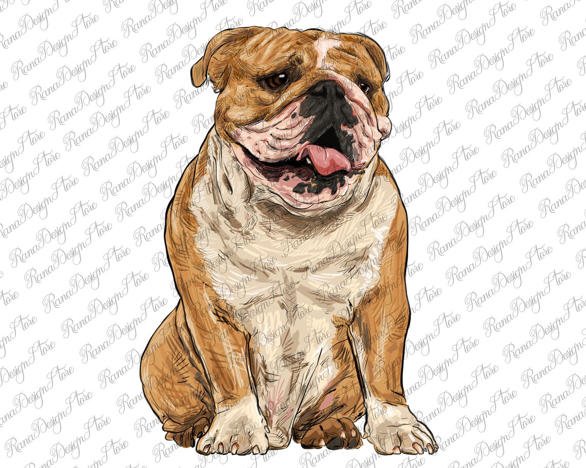 Dogs Bundle Png Bundle Sublimation Design Dogs Bundle - Etsy