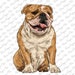 Dogs Bundle Png Bundle Sublimation Design, Dogs Bundle Clipart, Cute ...
