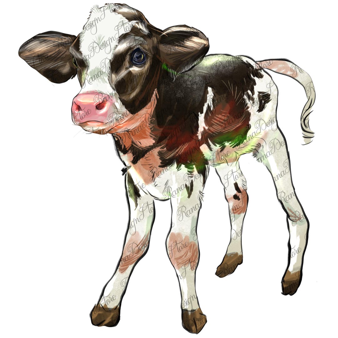Holstein Calf Png Ssublimation Design Download, Baby Calf Png, Hand ...