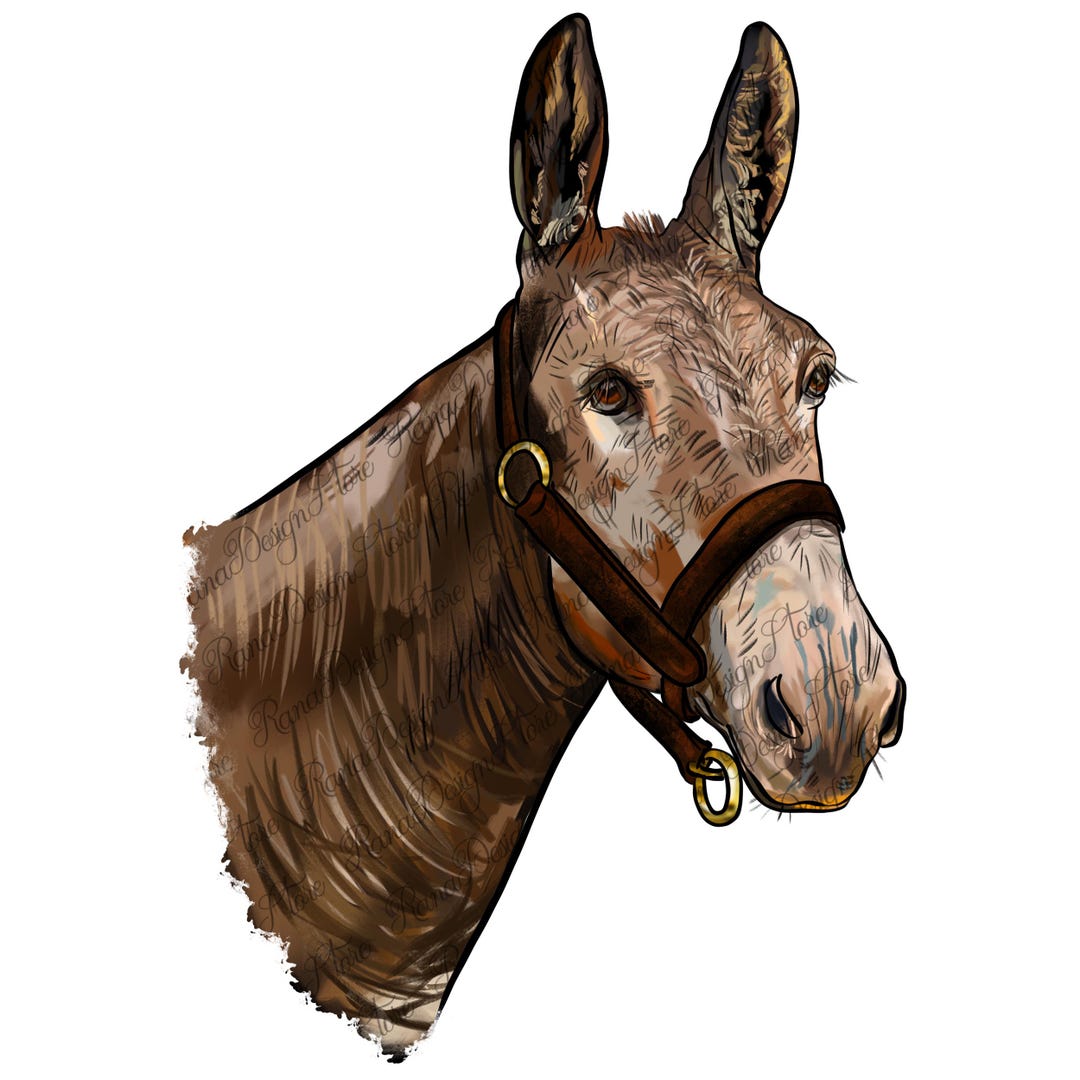 Mule Png Sublimation Design Download, Moscow Mule Png, Mules Png ...