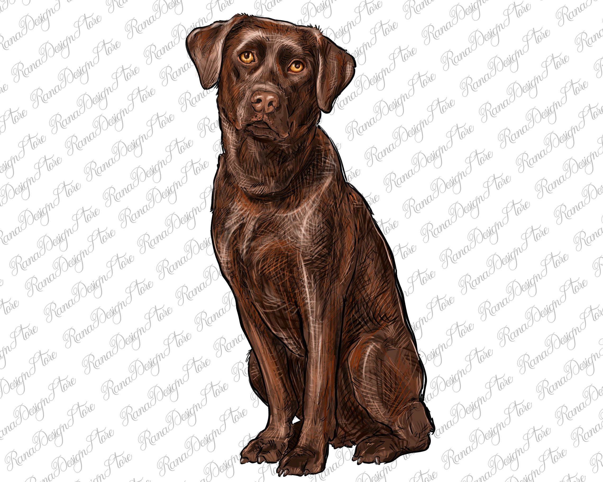 Yellow Lab Clip Art