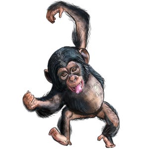 Baby Chimpanzee Png Sublimation Design Download, Hand Drawn Baboon Png ...