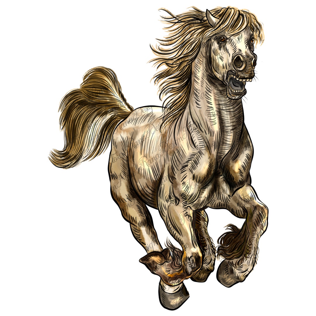 Percheron cavalo png sublimação design, cavalo png, cavalo ocidental ...