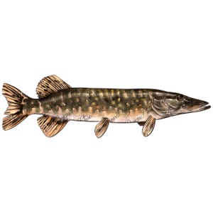 Northern Pike Png Sublimation Design, Fishing Png, Hand Drawn Fish Png ...