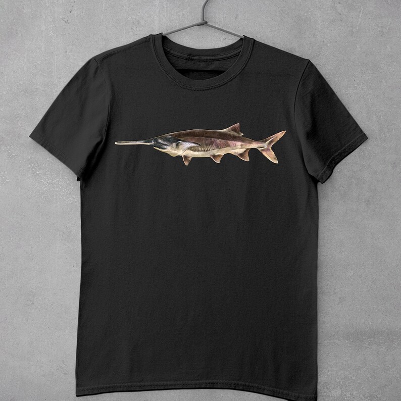 Paddlefish Png Sublimation Design, Fishing Png, Hand Drawn Fish Png ...
