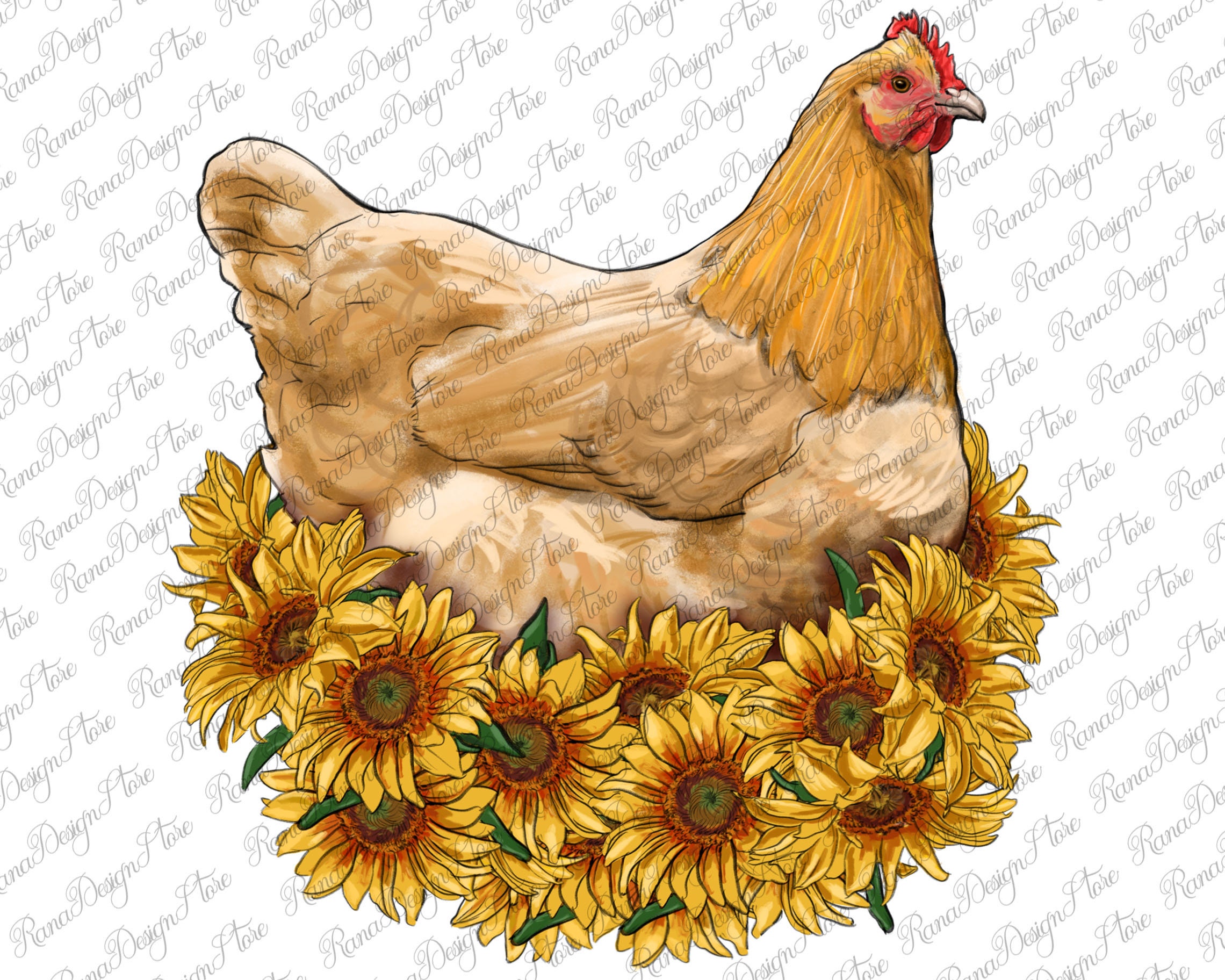 Chicken With Sunflower Png Sublimation Design Chicken Png - Etsy