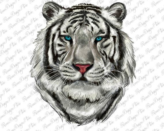 White Tiger Png Sublimation Design Animals Sublimation Png - Etsy