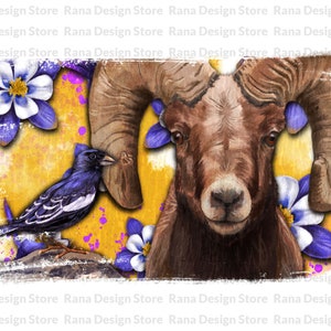 Colorado State Symbols Background PNG Sublimation Design,colorado ...