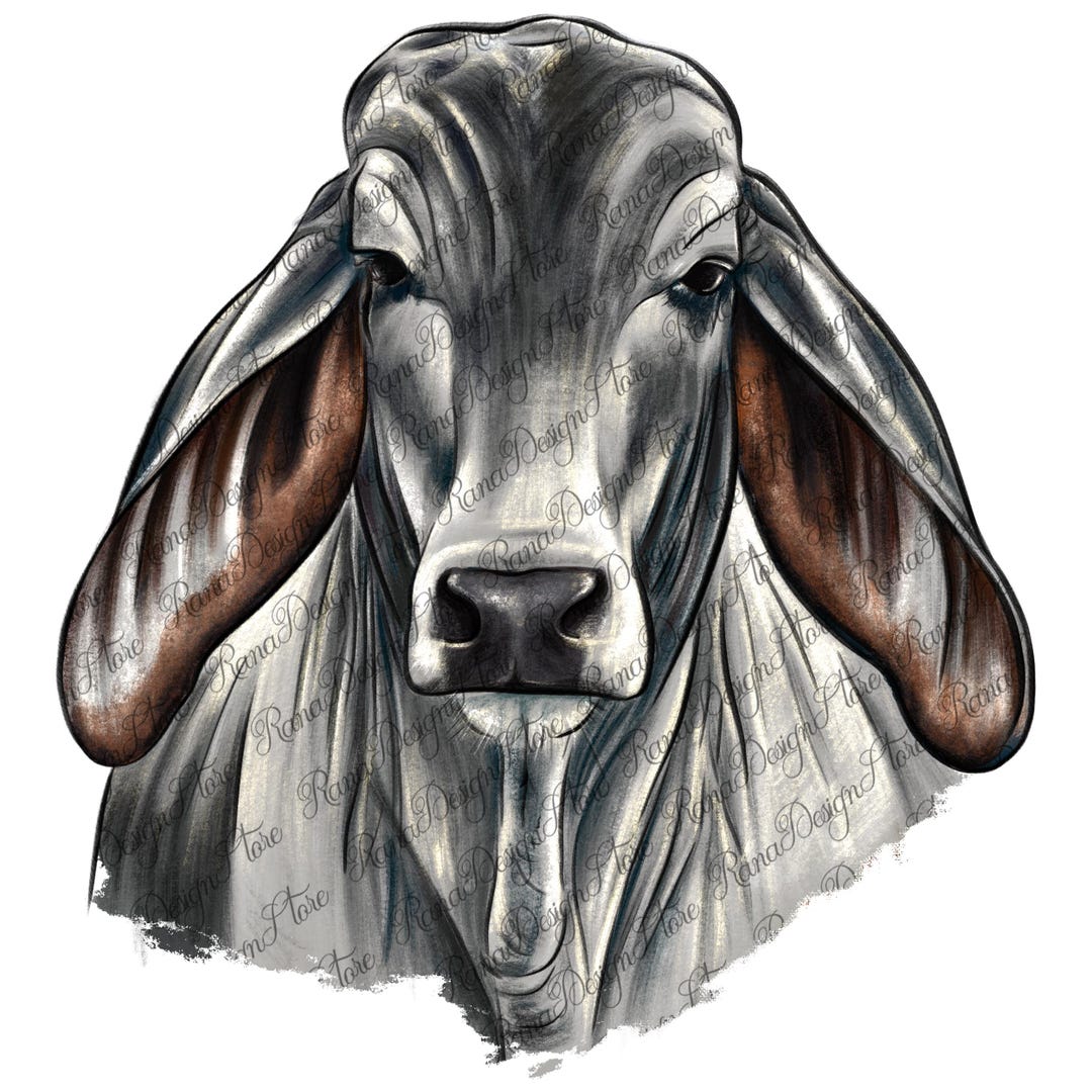 Brahman Cow Grey Png Sublimate Designs Download, Hand Drawing Cow Png ...