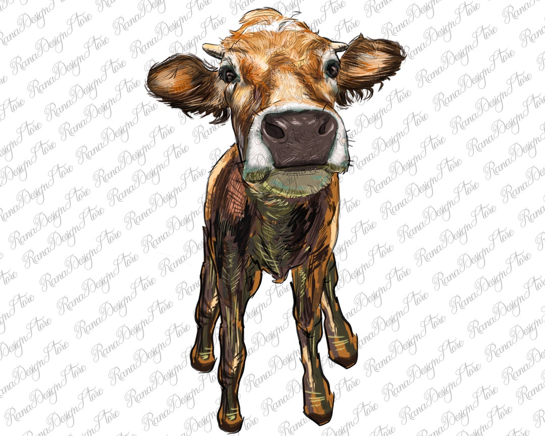 Heifer Cow Png Sublimation Design, Heifer Png, Angus Png, Cow Png ...