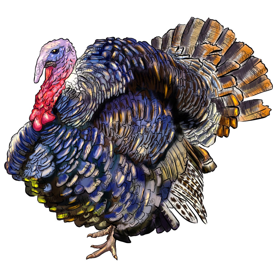 Bronze Turkey Png Sublimation Design, Turkey Png, Happy Thanksgiving ...