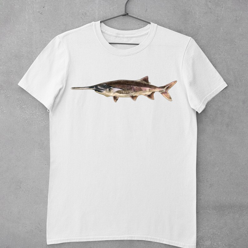 Paddlefish Png Sublimation Design, Fishing Png, Hand Drawn Fish Png ...