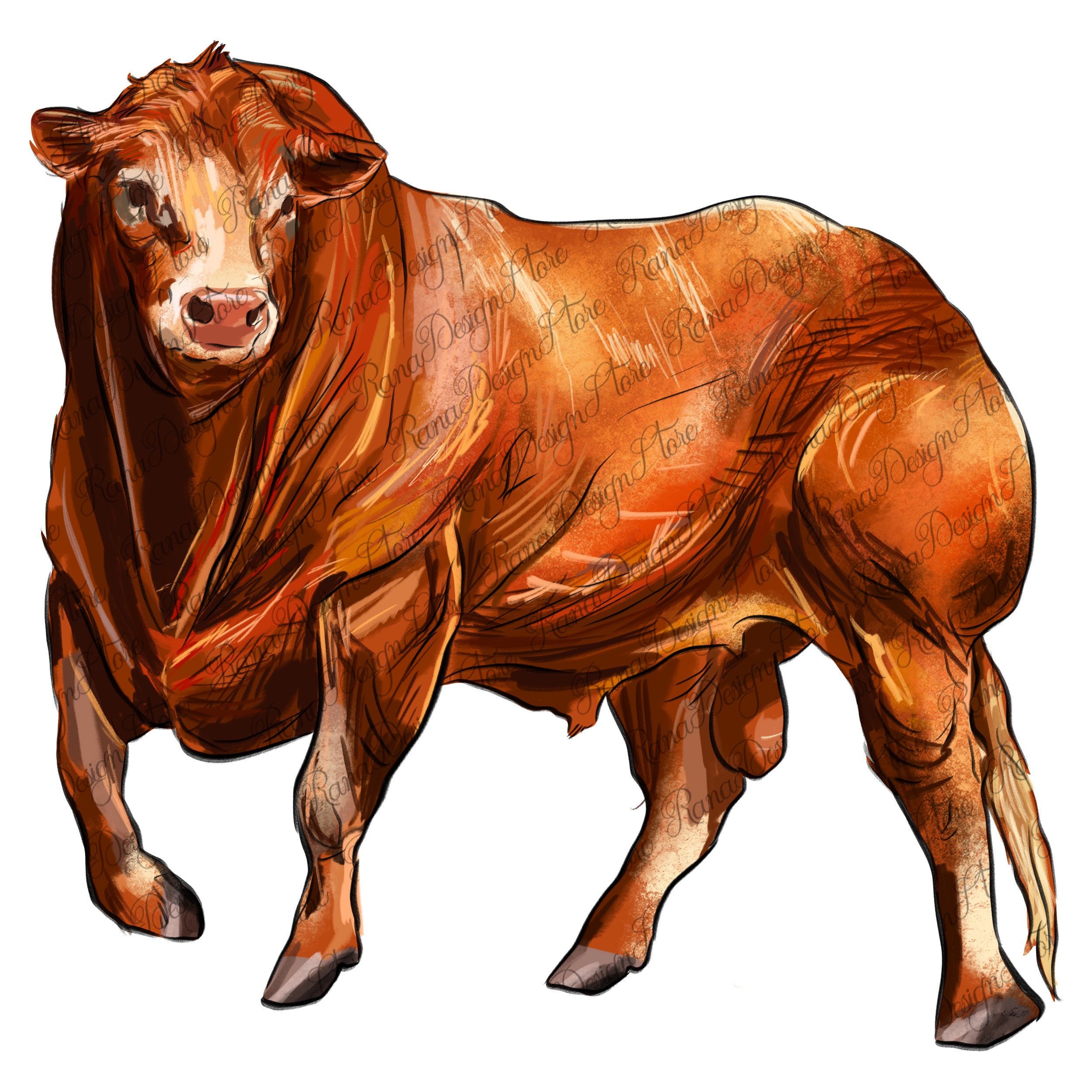 Red Angus Bull Png Sublimation Design Download, Hand Drawn Cow Png ...