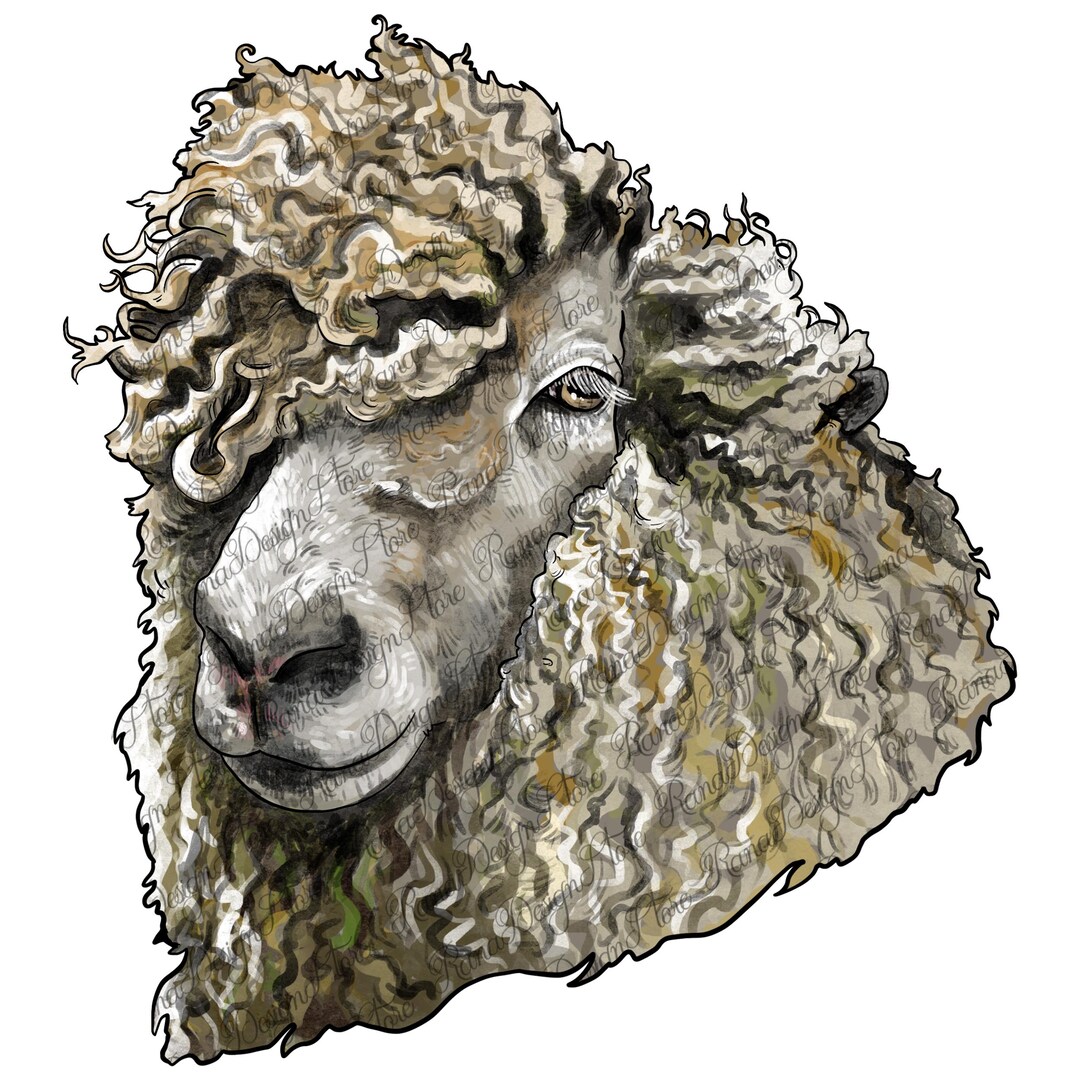 Lincoln Sheep Head Png Sublimation Design, Sheep Clipart, Sheep Png ...