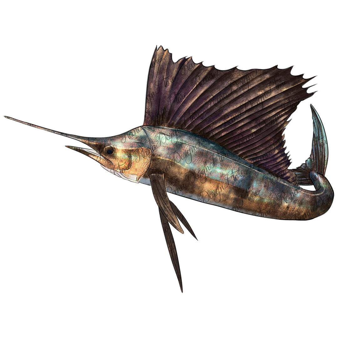 Atlantic Sailfish Png Sublimation Design, Fishing Png, Hand Drawn Fish ...