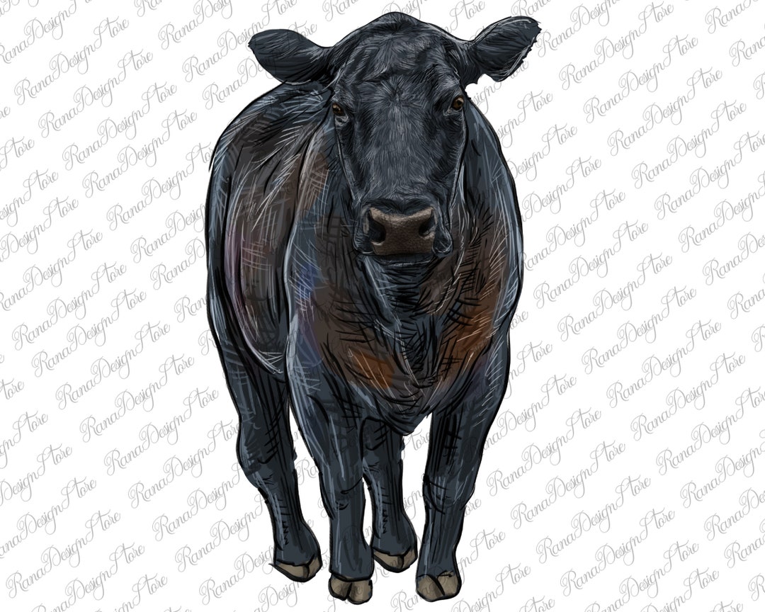 Black Angus Cow Png Sublimation Design, Black Angus, Black Angus Png ...