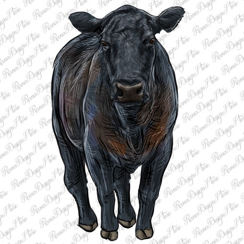 Drawing & Illustration Digital Black Angus Bull Png,Farm Animals Png ...