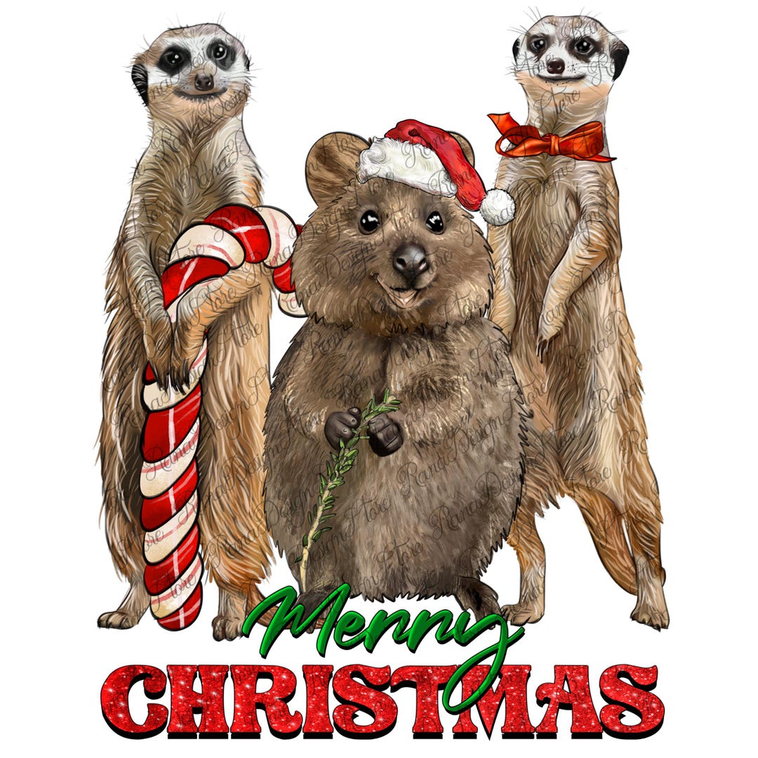 Merry Christmas Meerkat and Quokka Png Sublimation Design Download ...