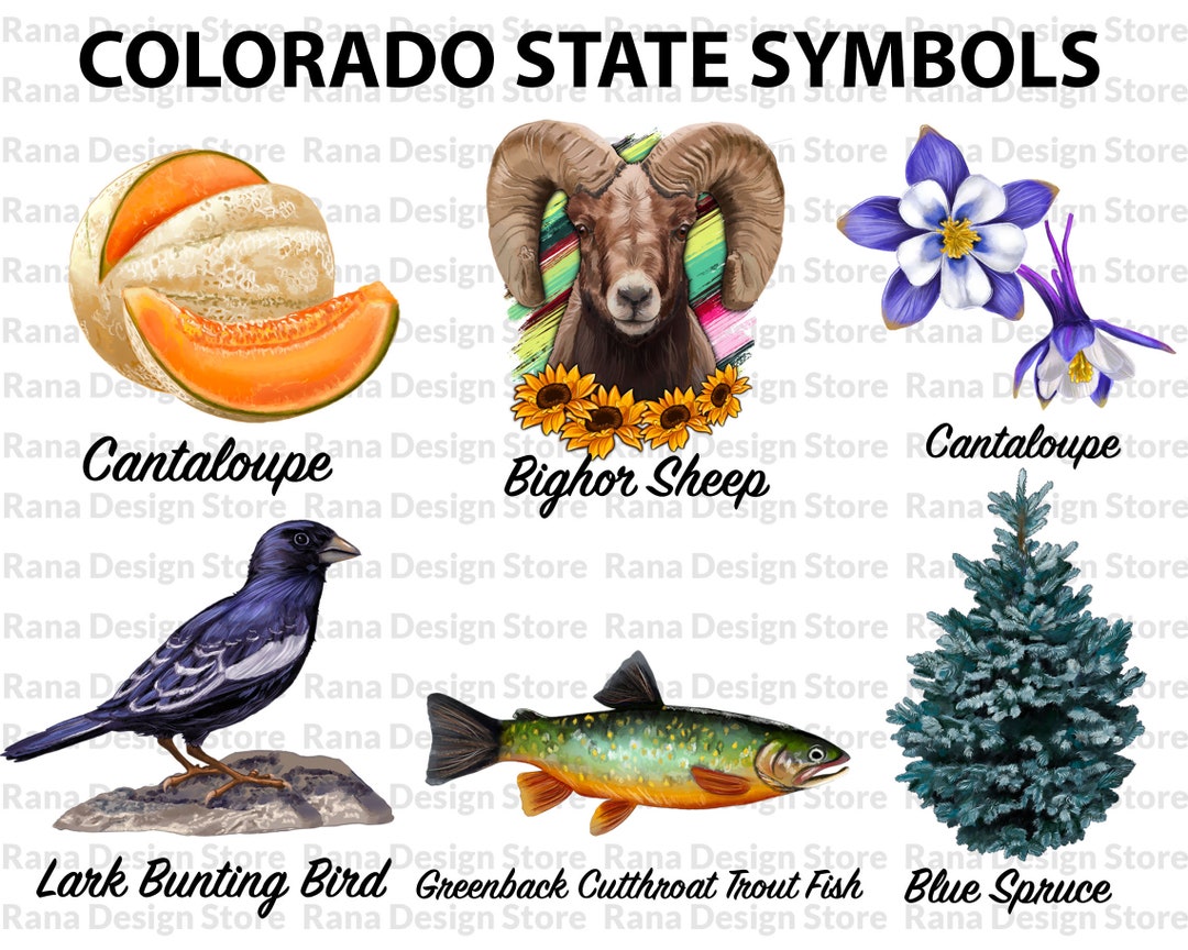Colorado State Symbols Sublimation Design Bundle,bighorn Sheep Png ...