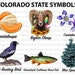 Colorado State Symbols Sublimation Design Bundle,bighorn Sheep Png ...
