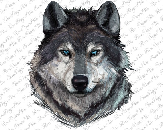 Hand Drawing Wolf Png Sublimation Design Downloads Wolf Png | Etsy Canada