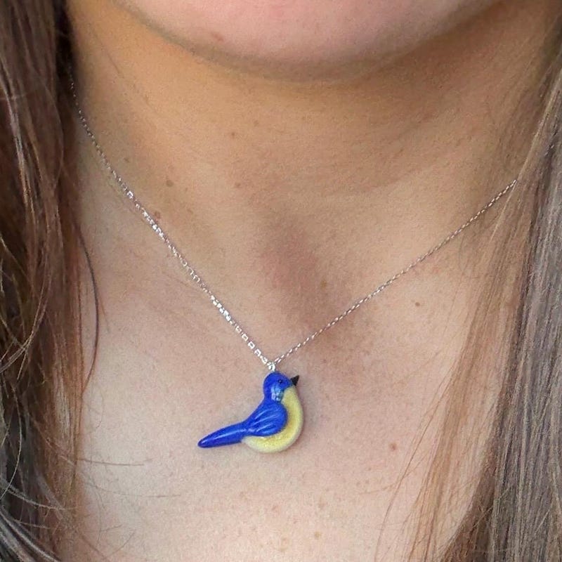 Bluebird Necklace - Etsy